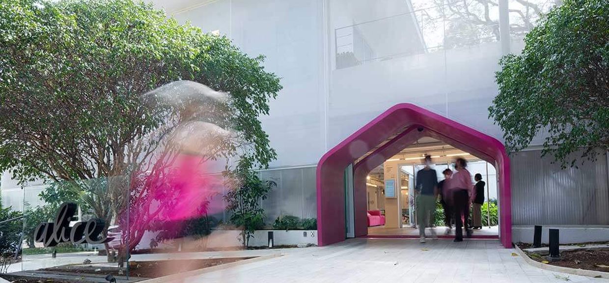 Alice em Harvard: conferência debate desafios da saúde - Blog da Alice