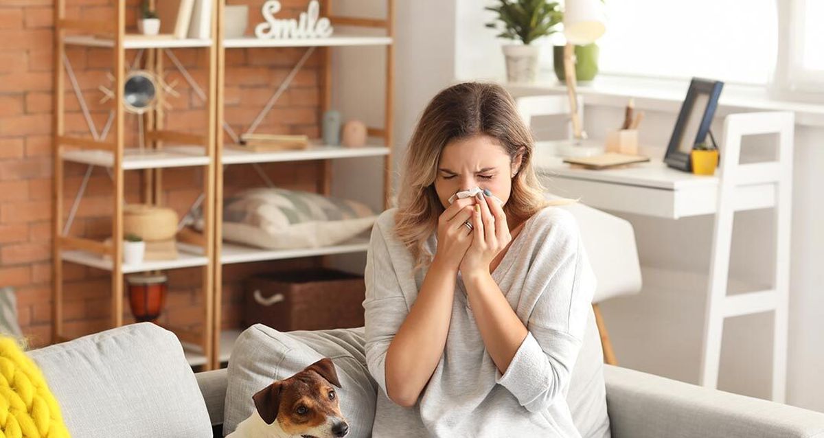 Virose: o que é, quais são os sintomas e como tratar? - Blog da Alice