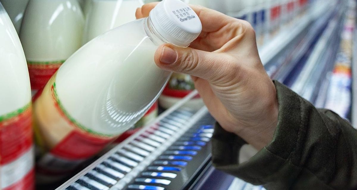 Conheça os principais tipos de leite {de vaca aos vegetais}