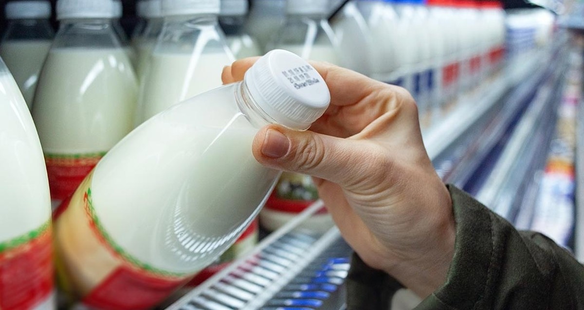 Conheça os principais tipos de leite {de vaca aos vegetais}
