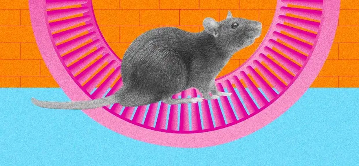 Exame ergométrico: o que é e quando fazer?